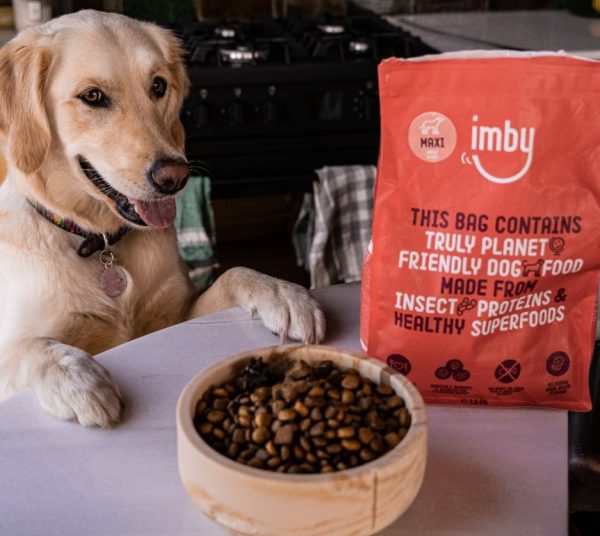 Insect Based Dog Food | Hypoallergenic & Sustainable