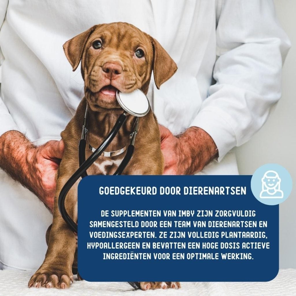 Probiotica hond in snackvorm | Spijsvertering, darmflora, ontlasting