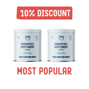 Ontstoken Oog bij Hond: Symptomen, Oorzaken en Behandeling