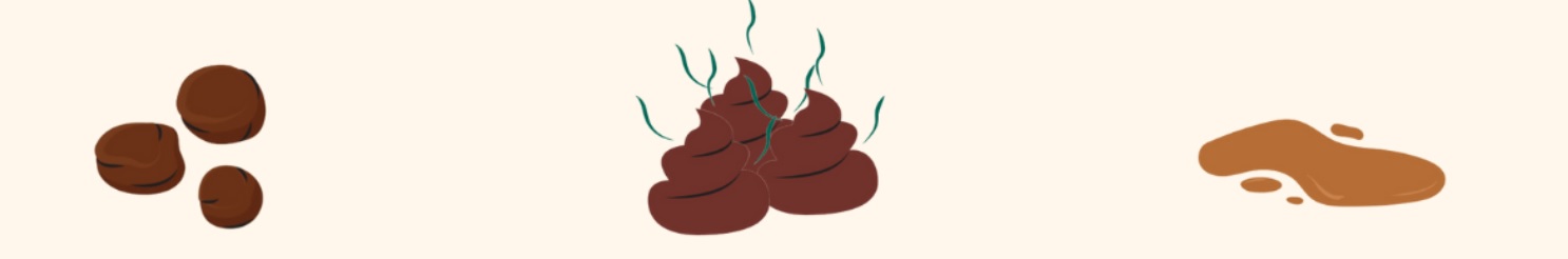 What does normal dog poop look like? | Imby Pet Food