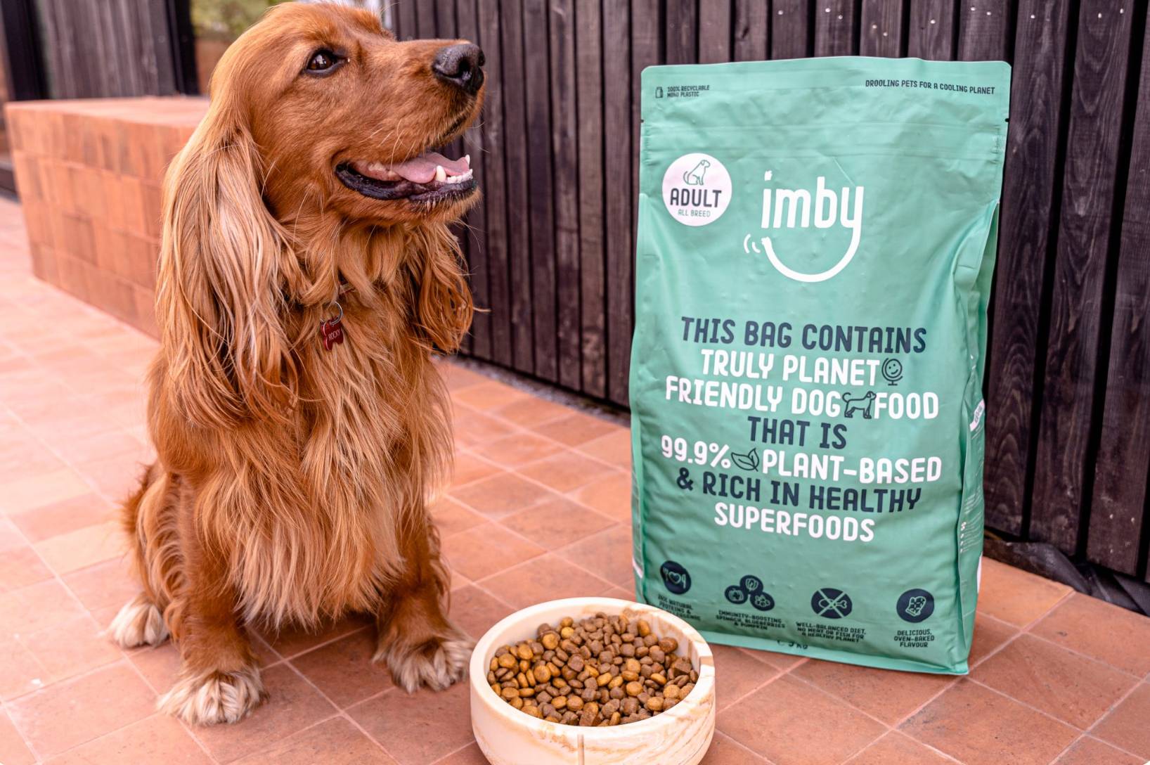Discover the Pros of Vegan Dog Food | Imby Pet Food